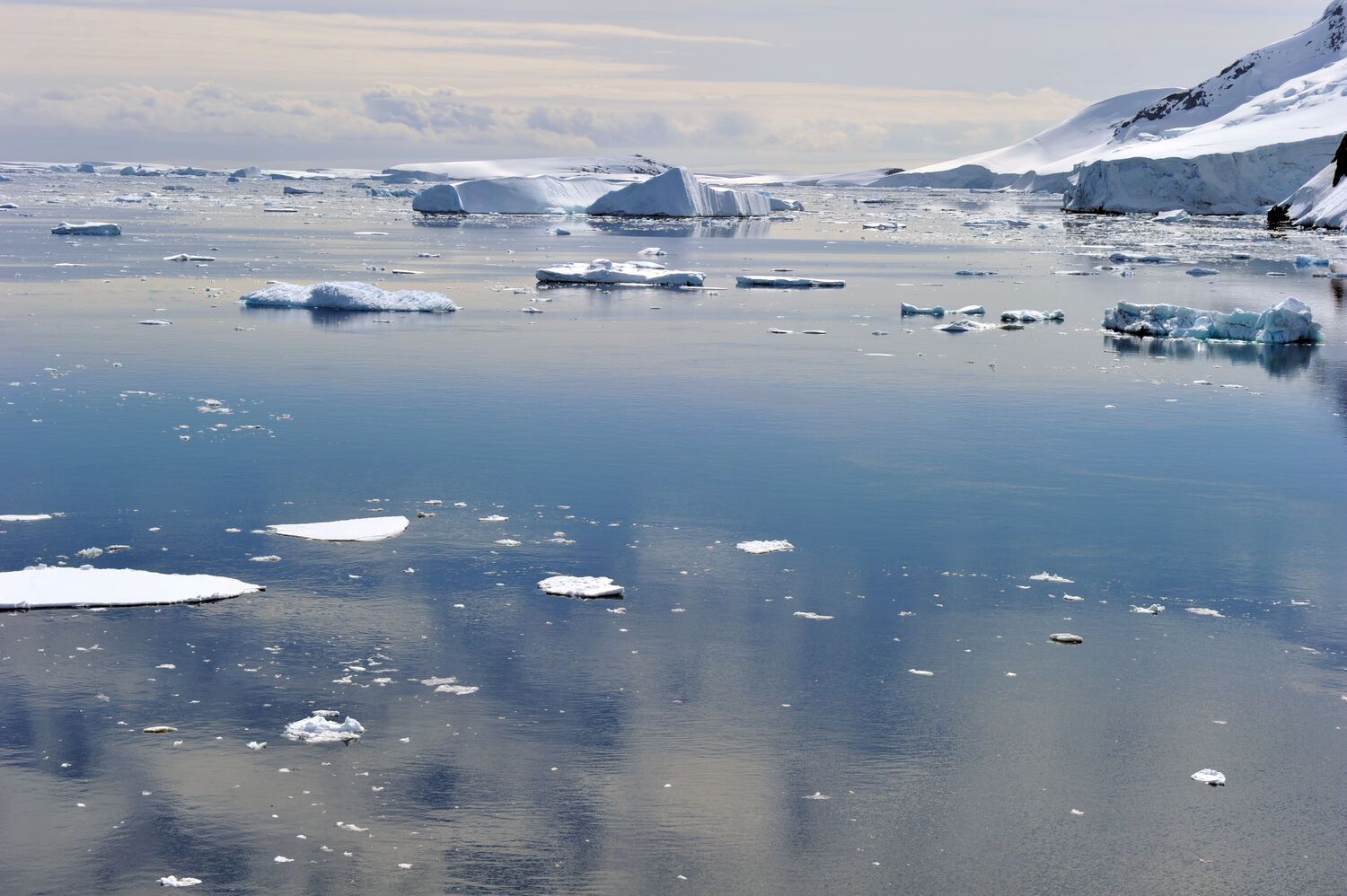 Etienne Pierart - Antarctica Colours